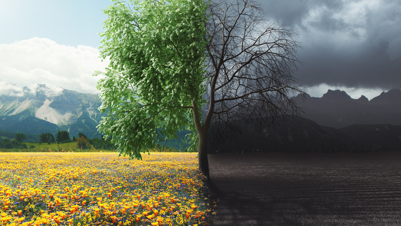 When Joy Feels Unsafe | Navigating Foreboding Emotions | My Journal ...